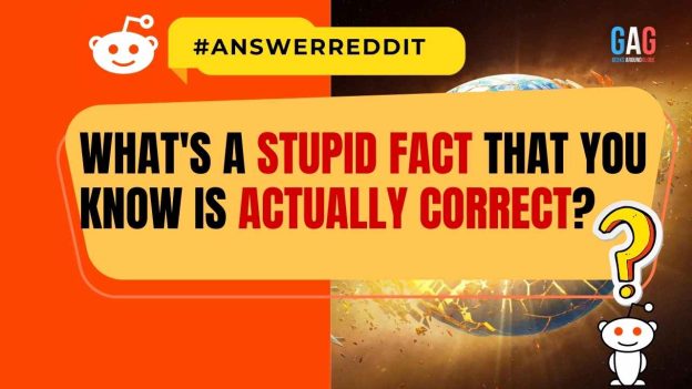 What's a Stupid Fact That You Know Is Actually Correct? - Geeks Around ...