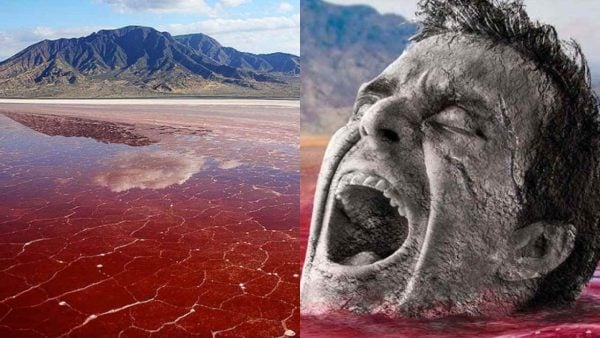 What If You Fell Into The Dangerous Blood Red Lake?