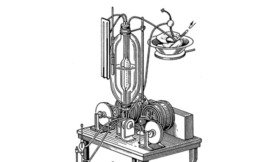 A 1920s Device Brought a Canine Head Back To Alive