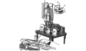 A 1920s Device Brought a Canine Head Back To Alive