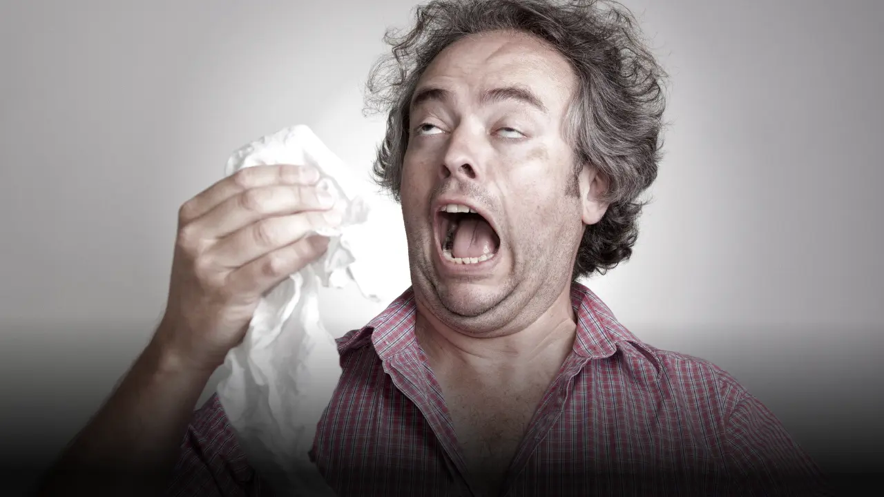 From 'Gesundheit' to 'Morgen mooi weer': The World's Most Bizarre Post ...