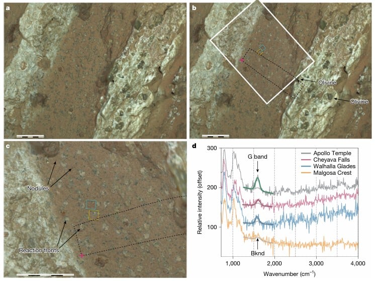 Strange ‘Leopard Spots’ in a Mars Rock Could Be Our Strongest Hint of ...
